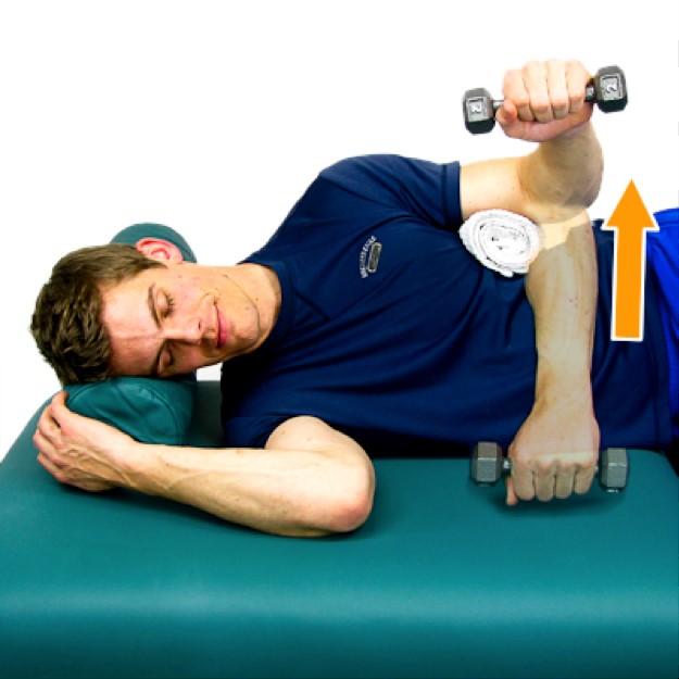 The Teres Minor | OrthoBethesda