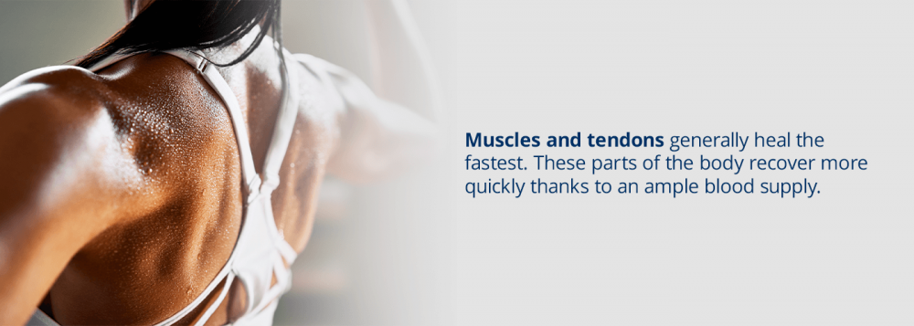 Why Different Parts of the Body Heal at Different Rates